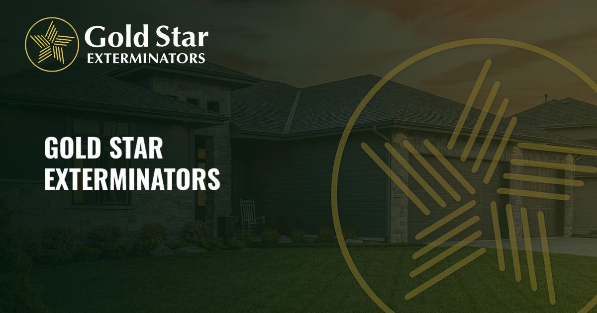 Home Pest Control In New Braunfels, TX | Gold Star Exterminators